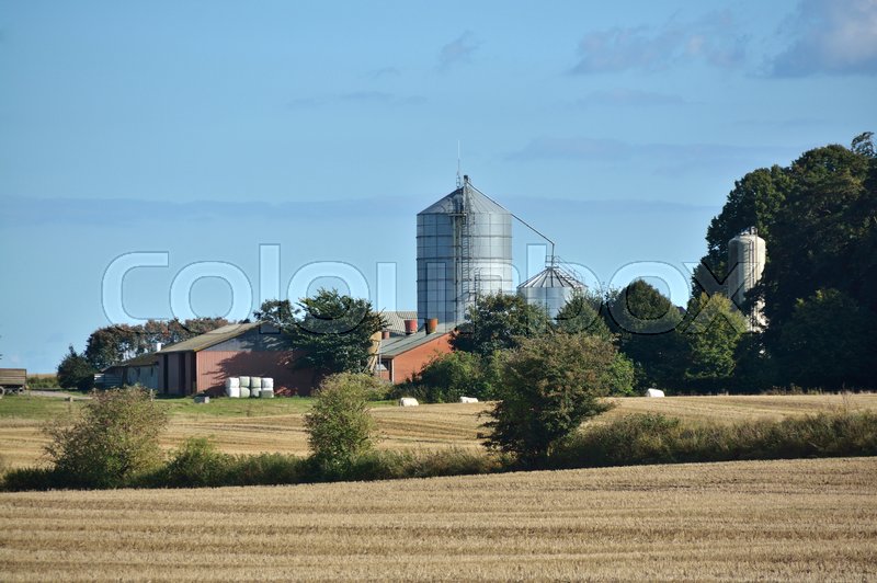 Dansk landbrug placeret i det fynske ... | Stock foto | Colourbox