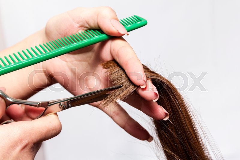 Hands of the hairdresser cutting ... | Stock image | Colourbox