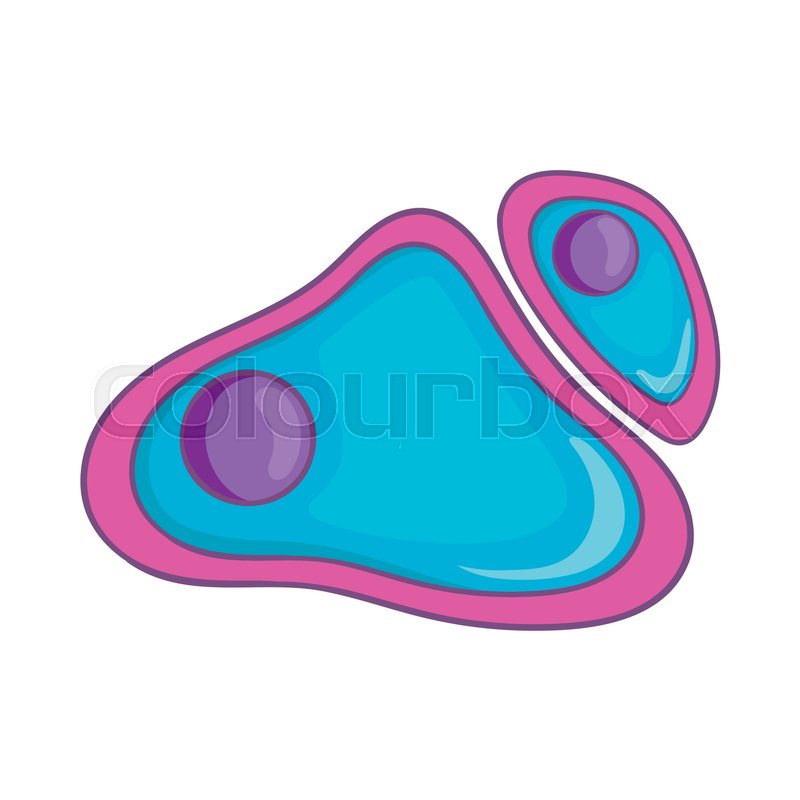 Cell nucleus icon in cartoon style on ... | Stock vector | Colourbox