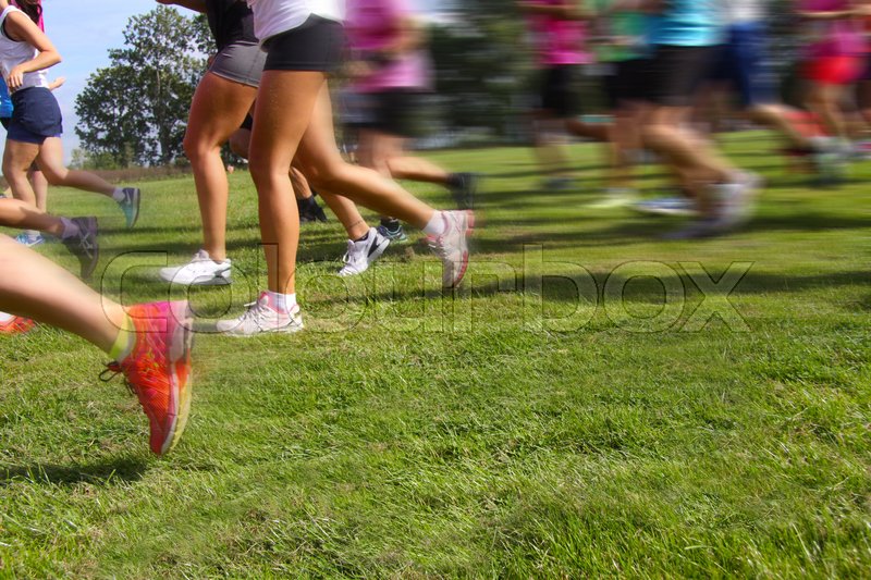 Marathon runners at start sign | Stock image | Colourbox