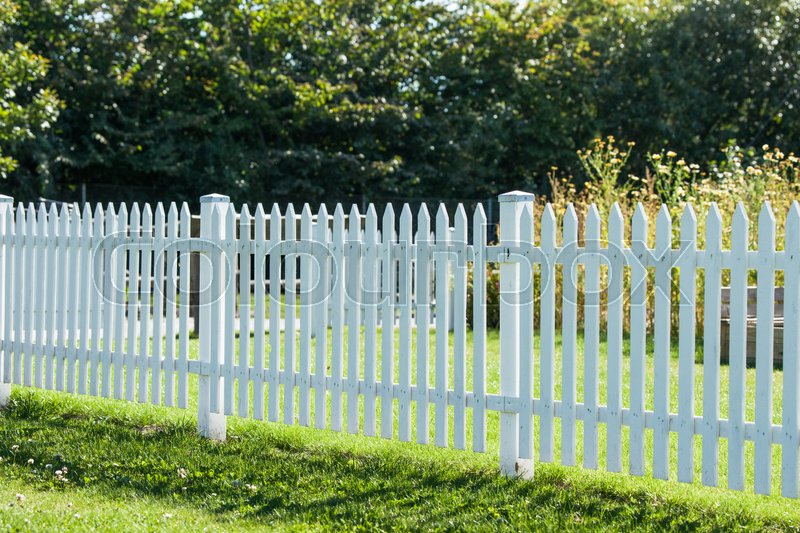 White picket fence in a garden in the ... | Stock Photo | Colourbox