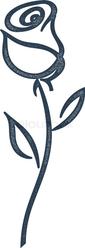 Sketch flower rose isolated on white ... | Stock vector | Colourbox