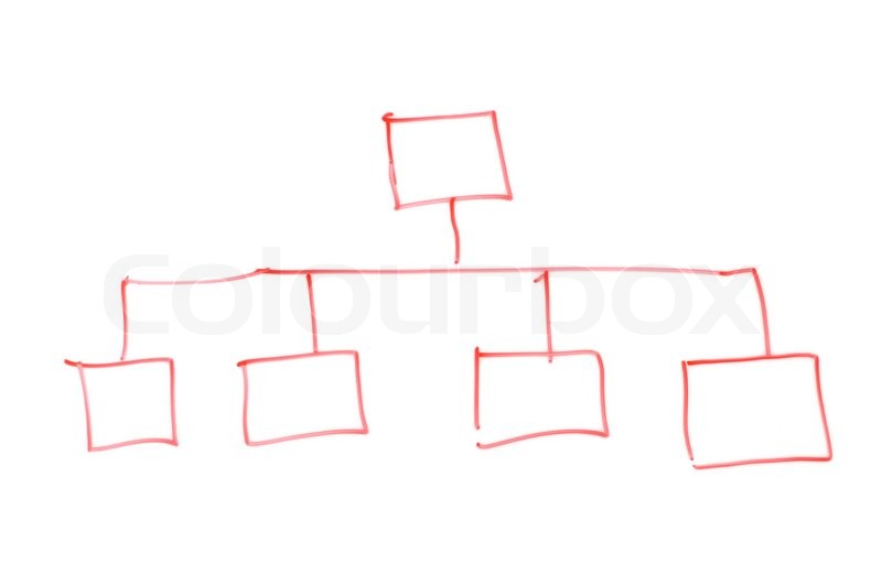 Sketch of organisation chart on white ... | Stock image | Colourbox