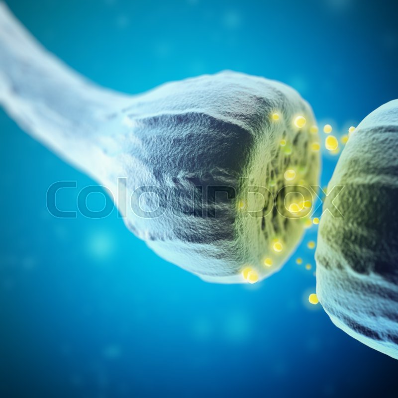 Synapse Neuron 3d