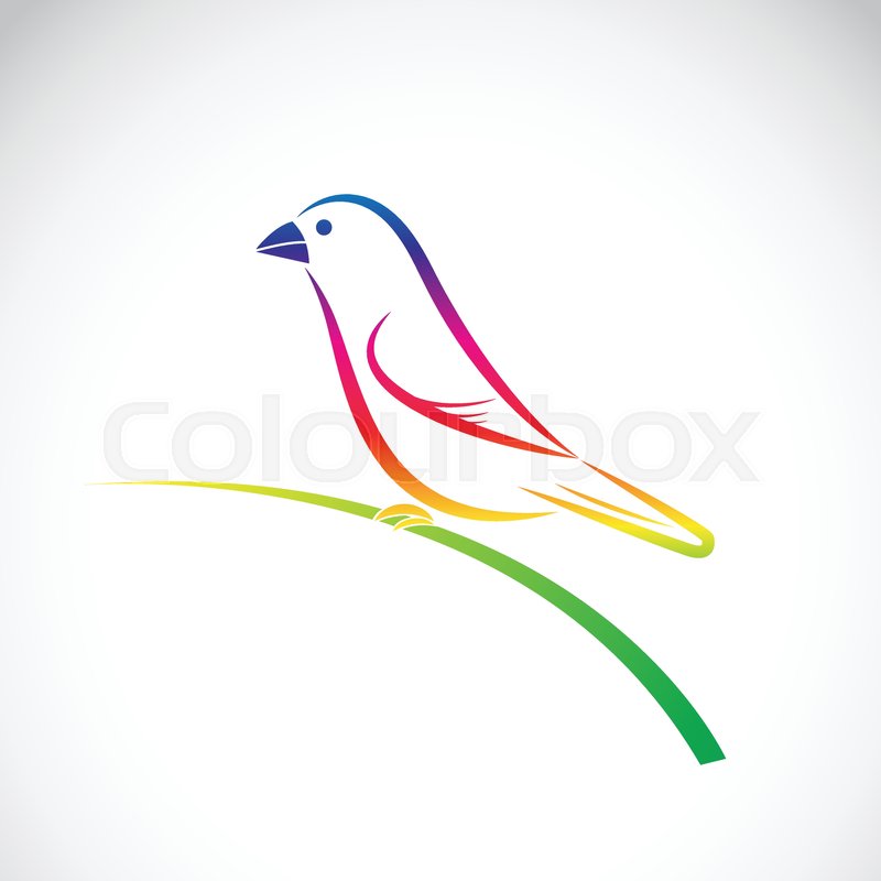 Vector of ricebird on white ... | Stock vector | Colourbox