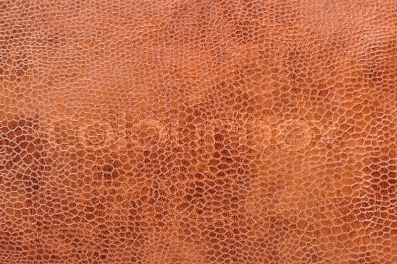 Leather texture closeup | Stock Photo | Colourbox