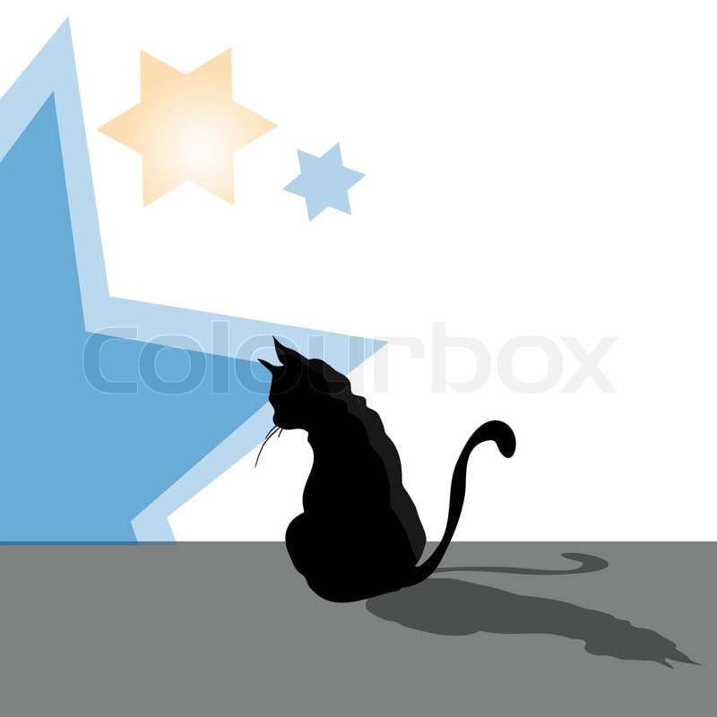 Sort kat med stjerner på baggrund | Stock vektor | Colourbox