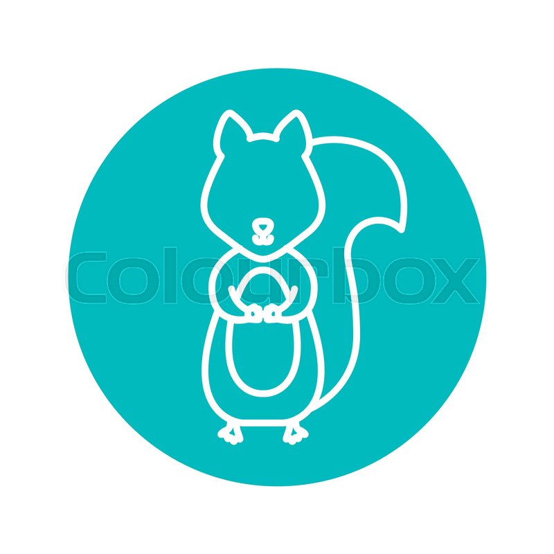 Circle shape with squirrel wild animal ... | Stock vector | Colourbox