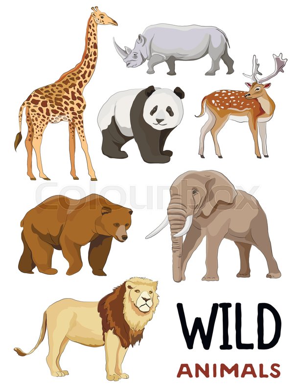 Set of different wild animals. Vector ... | Stock vector | Colourbox