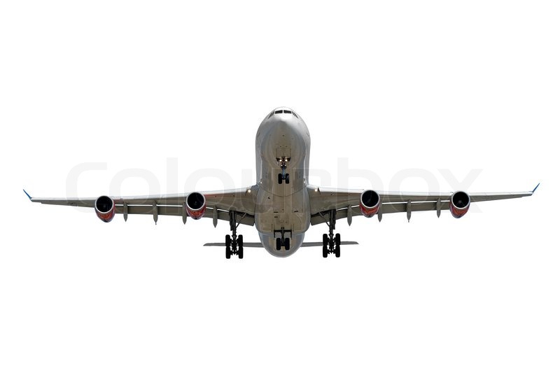 Et fly på en ren hvid baggrund | Stock foto | Colourbox