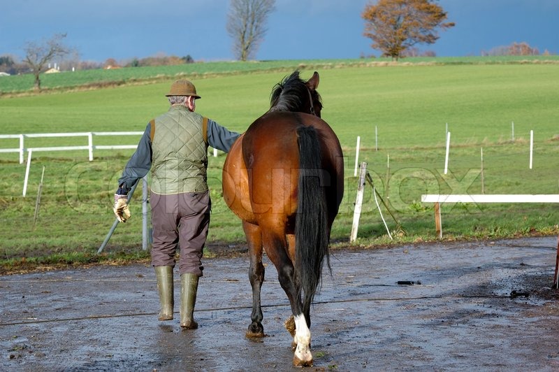 A man is walking with his horse | Stock image | Colourbox