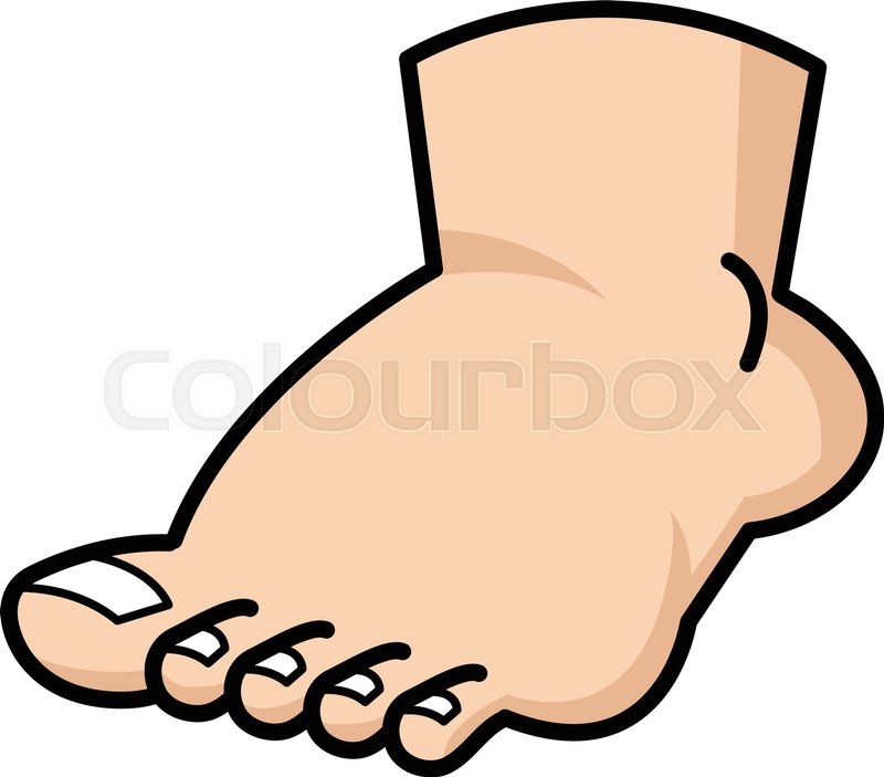 Foot cartoon vector icon | Stock vector | Colourbox