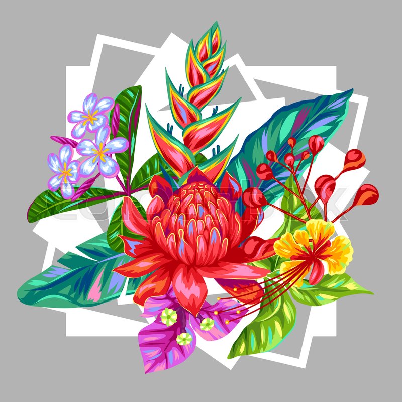 Print with Thailand flowers. Tropical ... | Stock vector | Colourbox