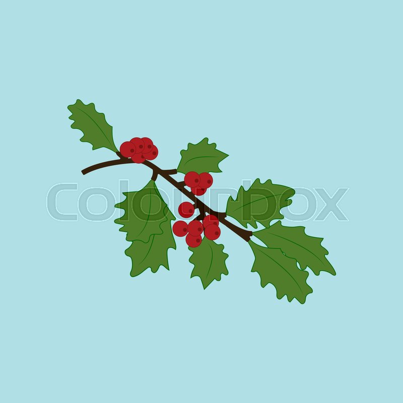Mistletoe Branch Vector