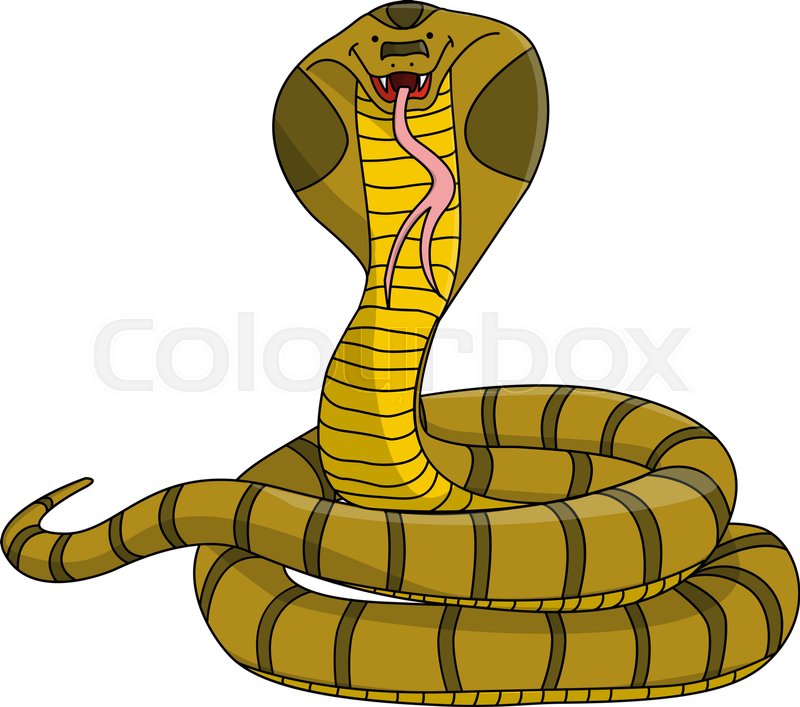 Cobra cartoon illustration | Stock vector | Colourbox