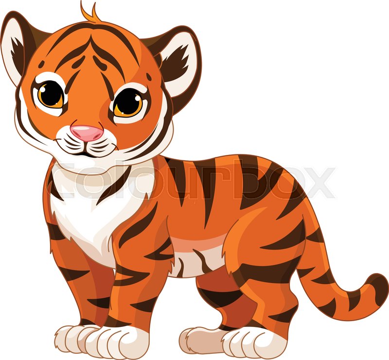 Illustration of cute baby tiger | Stock vector | Colourbox