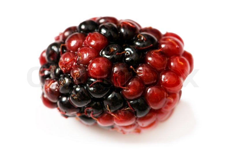 Extreme Nahaufnahme von Beeren isoliert ... | Stock Bild | Colourbox