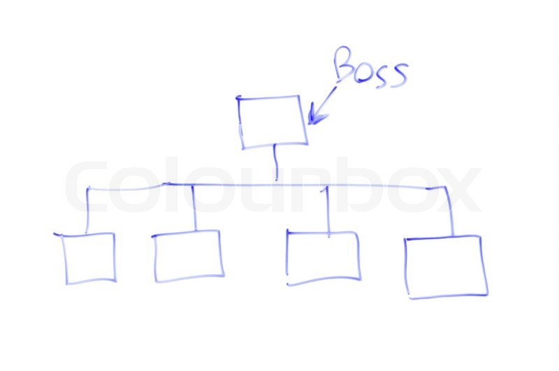 Sketch of organisation chart on white ... | Stock image | Colourbox