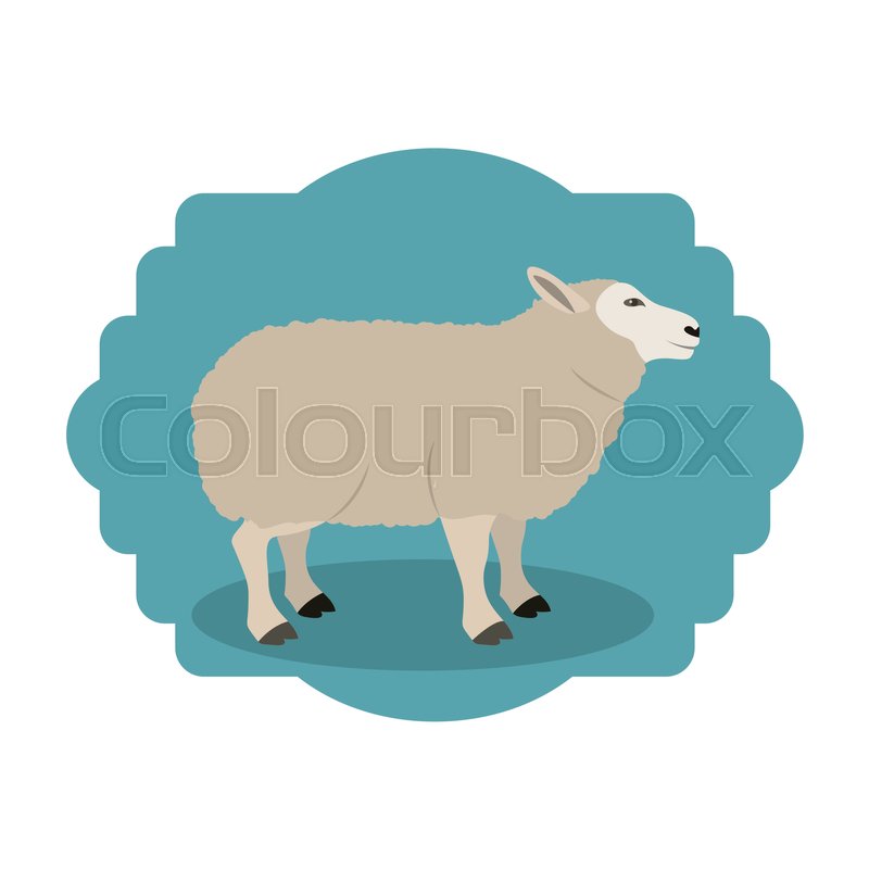 Lamb icon. Livestock animal life ... | Stock vector | Colourbox