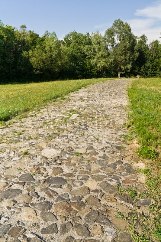 Old cobblestone road through the meadow | Stock image | Colourbox