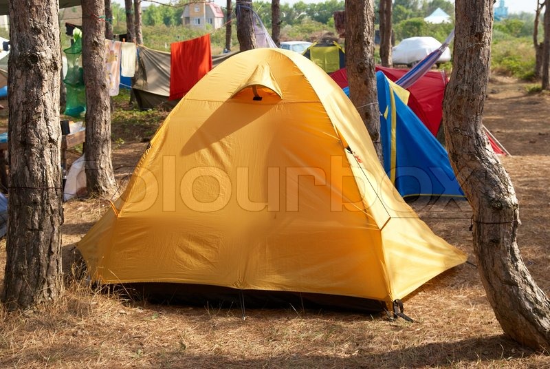 Campsite in the forest with many tents | Stock image | Colourbox