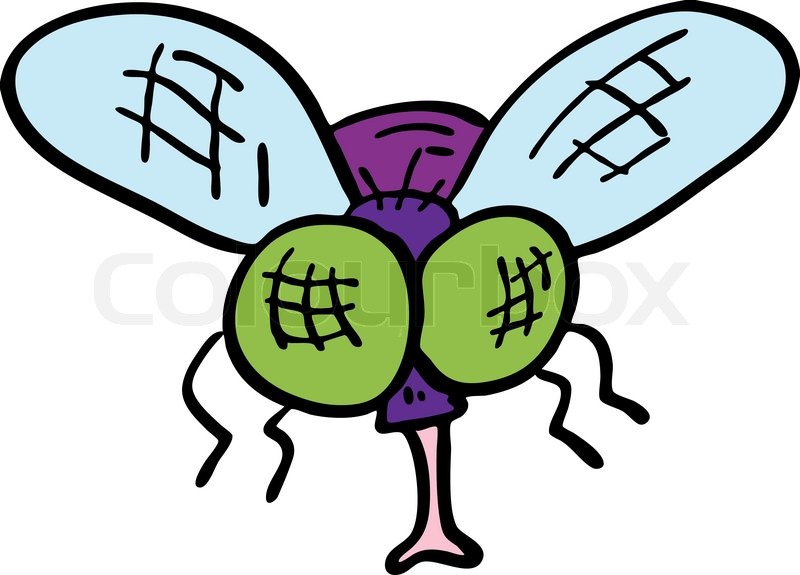 Cartoon, fly, insect | Stock Vector | Colourbox