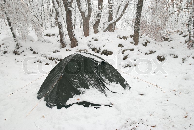 Winter tent camp in the snow forest | Stock image | Colourbox
