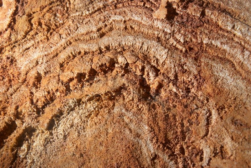 Stones tekstur i hulen i baggrunden | Stock foto | Colourbox