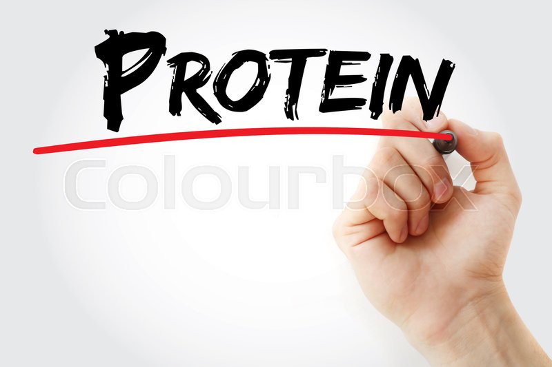 Hand writing Protein with marker, ... | Stock image | Colourbox