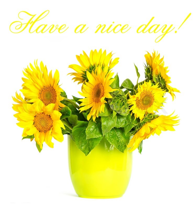 Have a nice day! card concept | Stock image | Colourbox