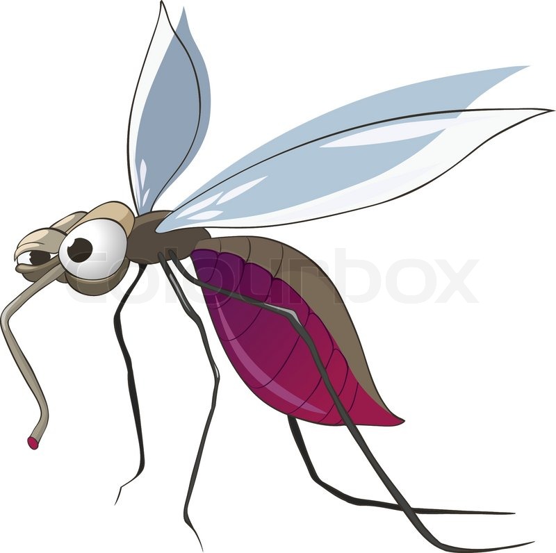 Cartoon Character Mosquito Isolated on ... | Stock vector | Colourbox
