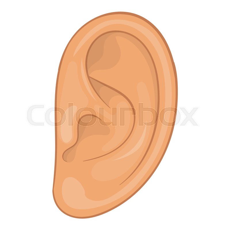 Ear icon. Cartoon illustration of ear ... | Stock vector | Colourbox