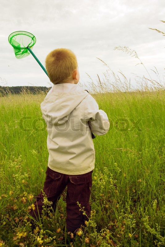 Butterfly hunter | Stock image | Colourbox
