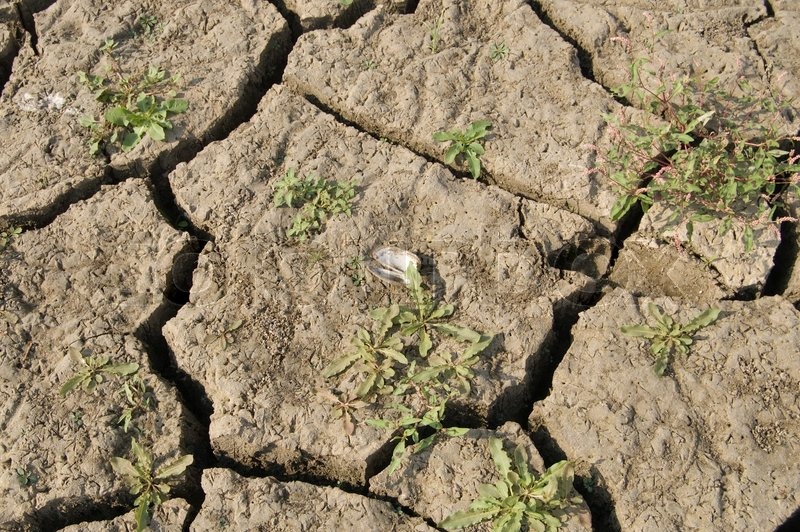 Dried-up earth after a flood | Stock image | Colourbox