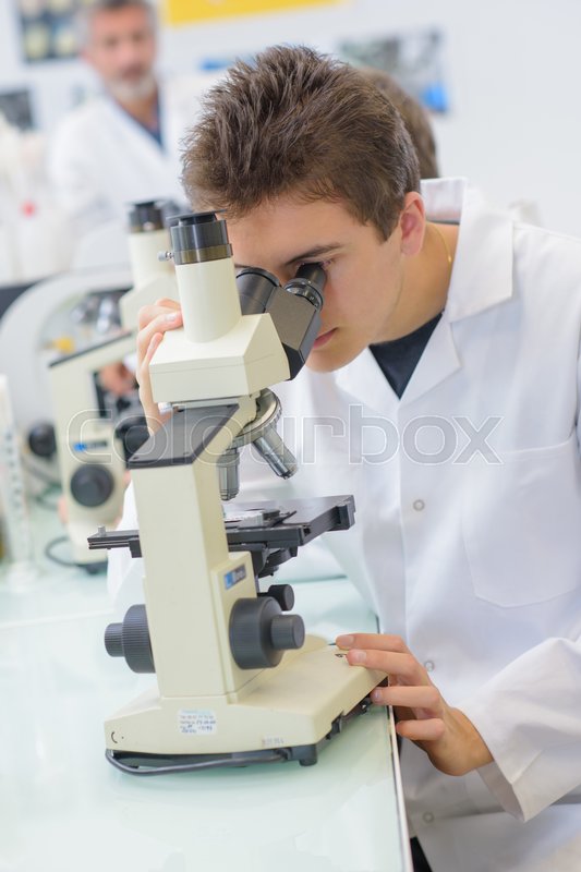 Person Looking Through Microscope