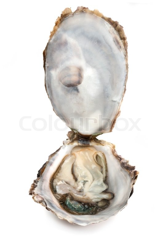 Auster | Stock Bild | Colourbox