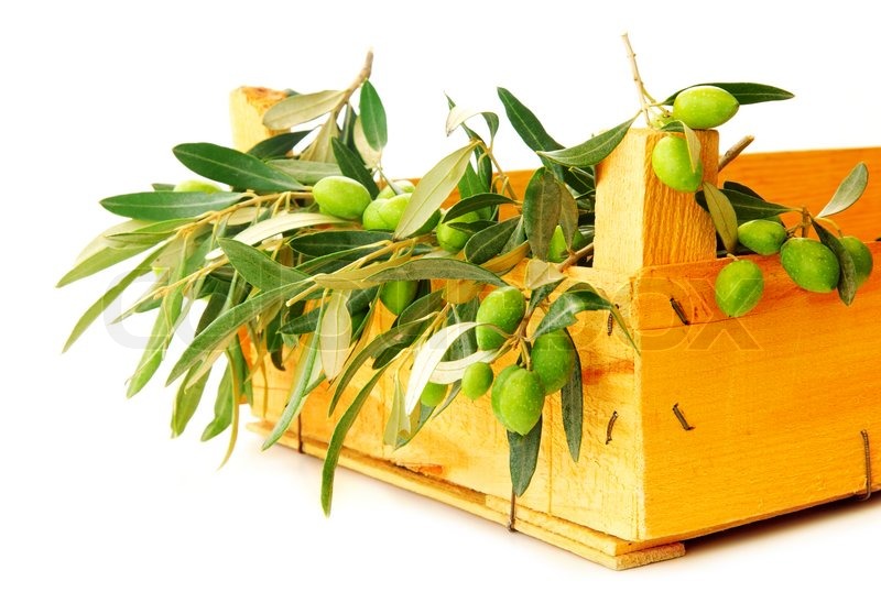 Frische grüne Oliven isoliert auf ... | Stock Bild | Colourbox
