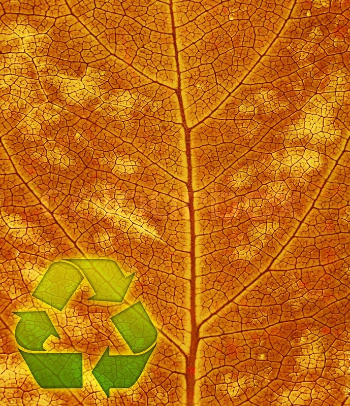 Recycle symbol on the leaf background | Stock image | Colourbox