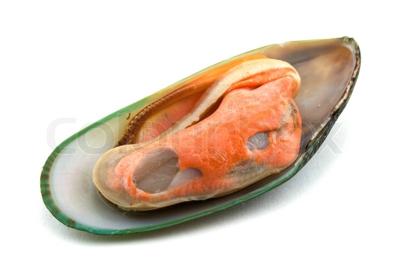 Grøn musling isoleret på hvid baggrund | Stock foto | Colourbox