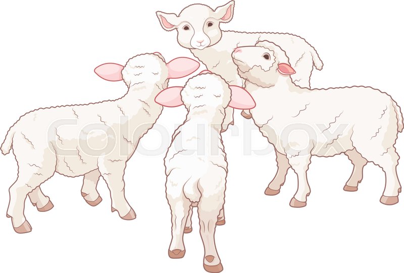 Illustration of very cute sheep group ... | Stock vector | Colourbox