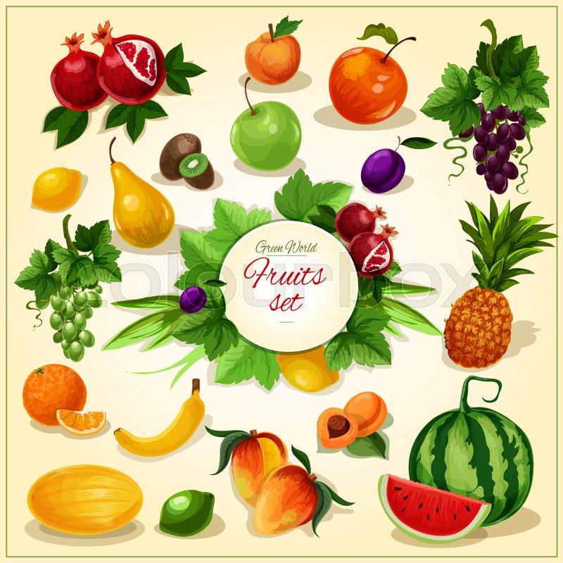 Ripe fruit with leaves poster of juicy ... | Stock vector | Colourbox