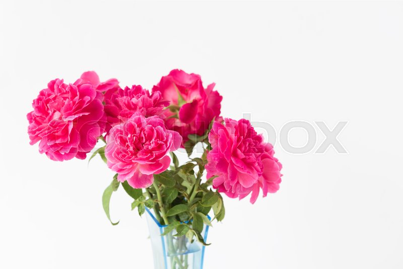 Red rose bouquet in blue vase isolated ... | Stock image | Colourbox