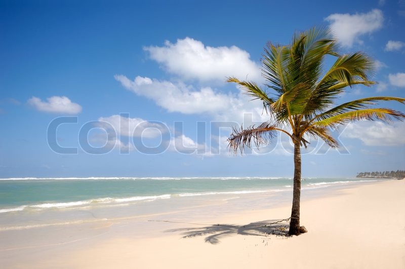 Karibischen Strand mit Palmen und ... | Stock Bild | Colourbox