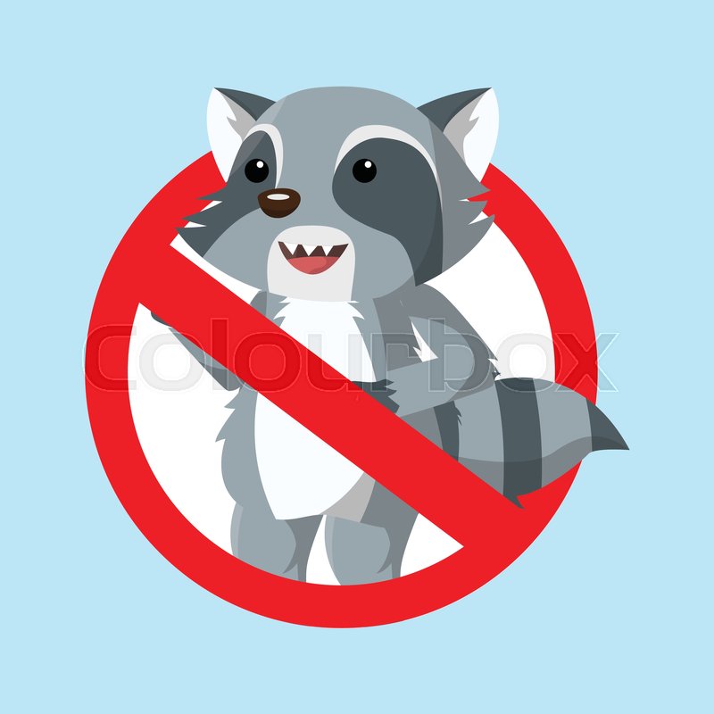 Raccoon prohibited vector illustration ... | Stock vector | Colourbox