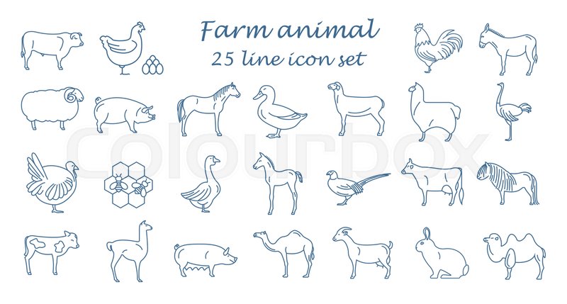 Farm animal thin line collection. 25 ... | Stock vector | Colourbox