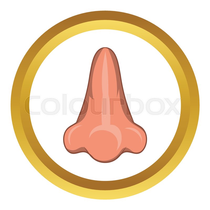 Nose vector icon in golden circle, ... | Stock vector | Colourbox