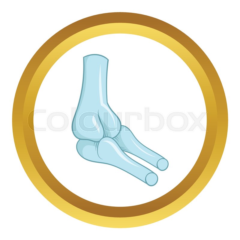 Bones vector icon in golden circle, ... | Stock vector | Colourbox