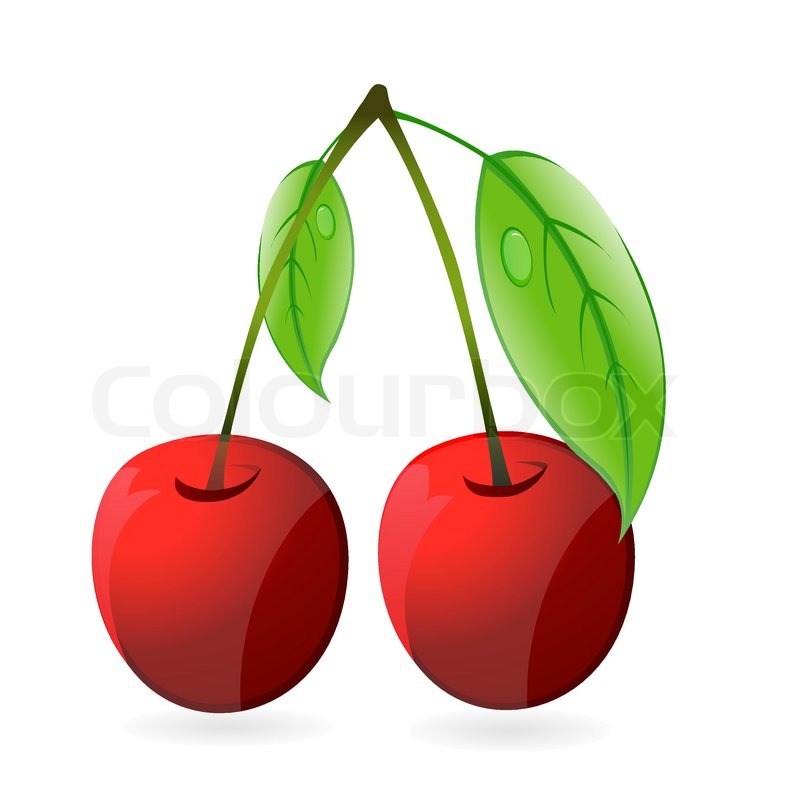 Shiny two cherry red color isolated on ... | Stock Vector | Colourbox