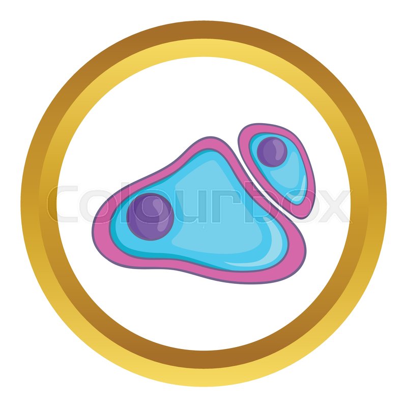 Cell nucleus vector icon in golden ... | Stock vector | Colourbox