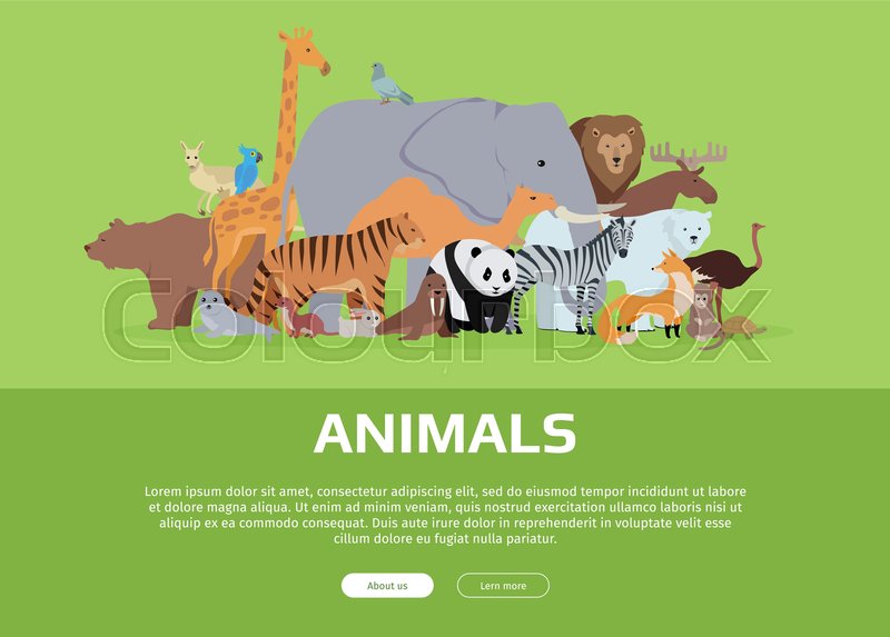 Animals banner. Various animals stands ... | Stock vector | Colourbox